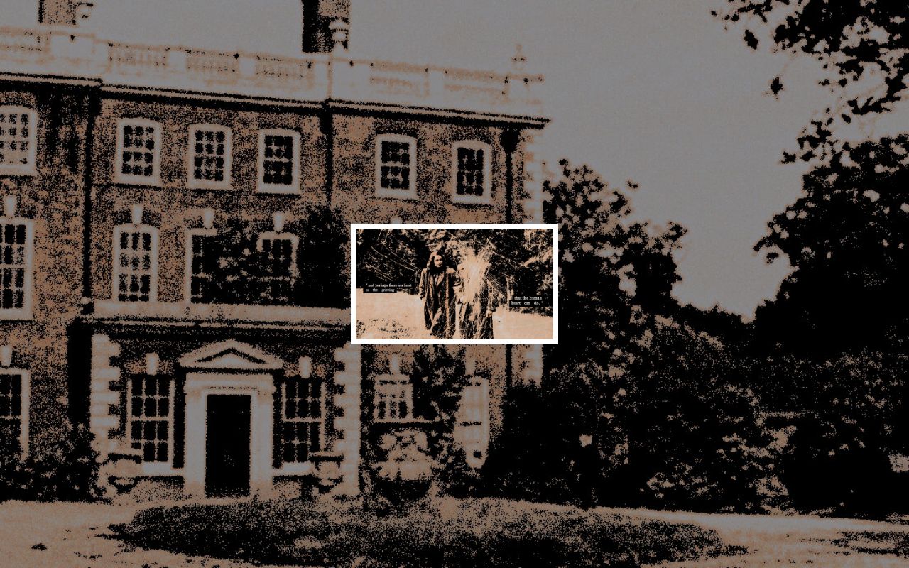 * DEAREST CREATURES.